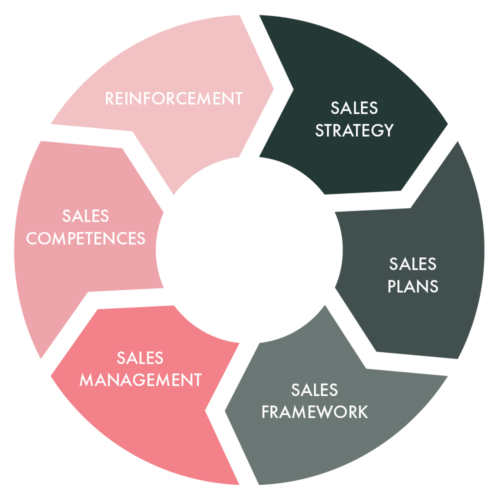 Sales Execution - Grape